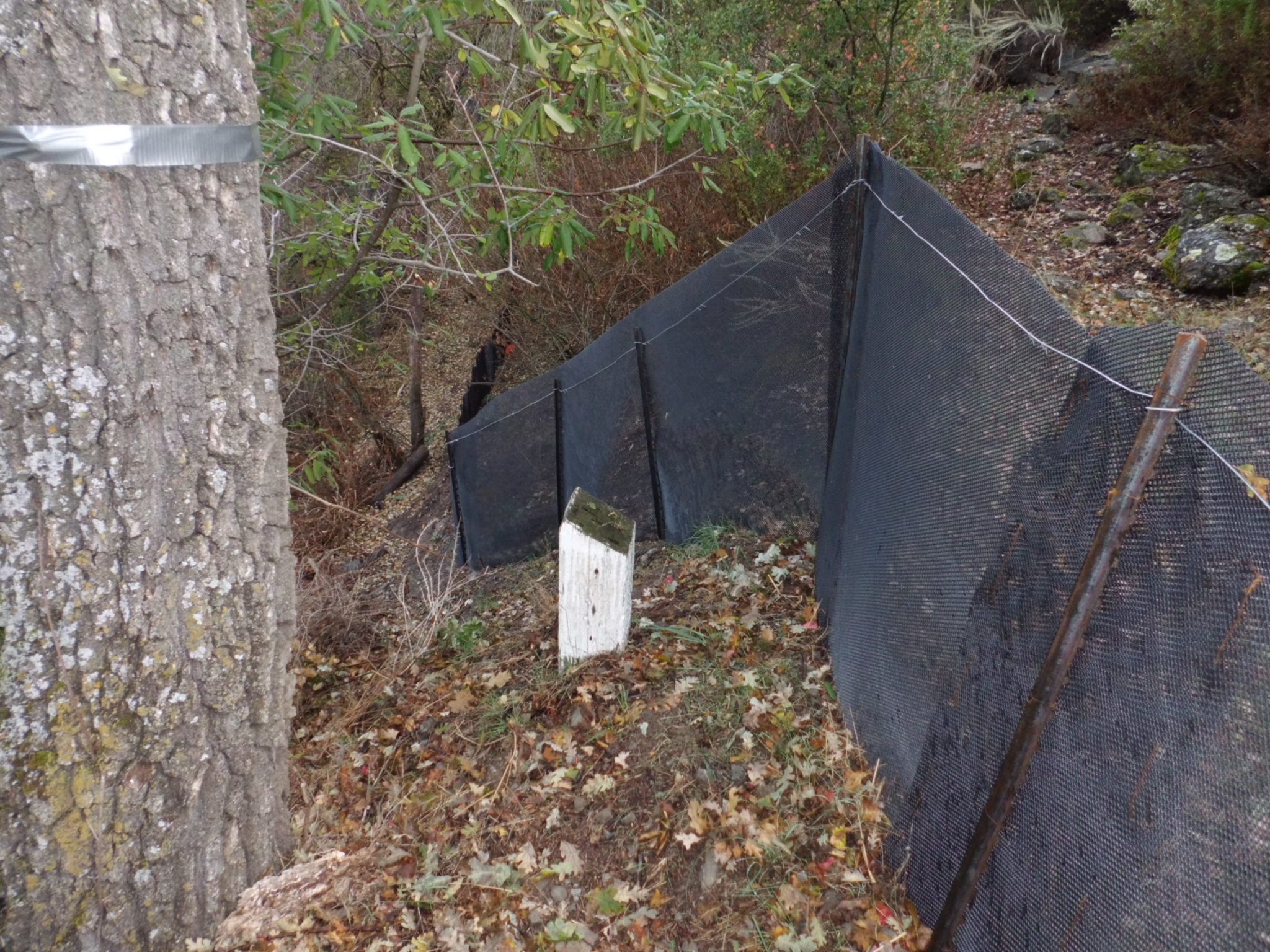 Ertec Species at Risk Exclusion Fence – Advanced Building Materials